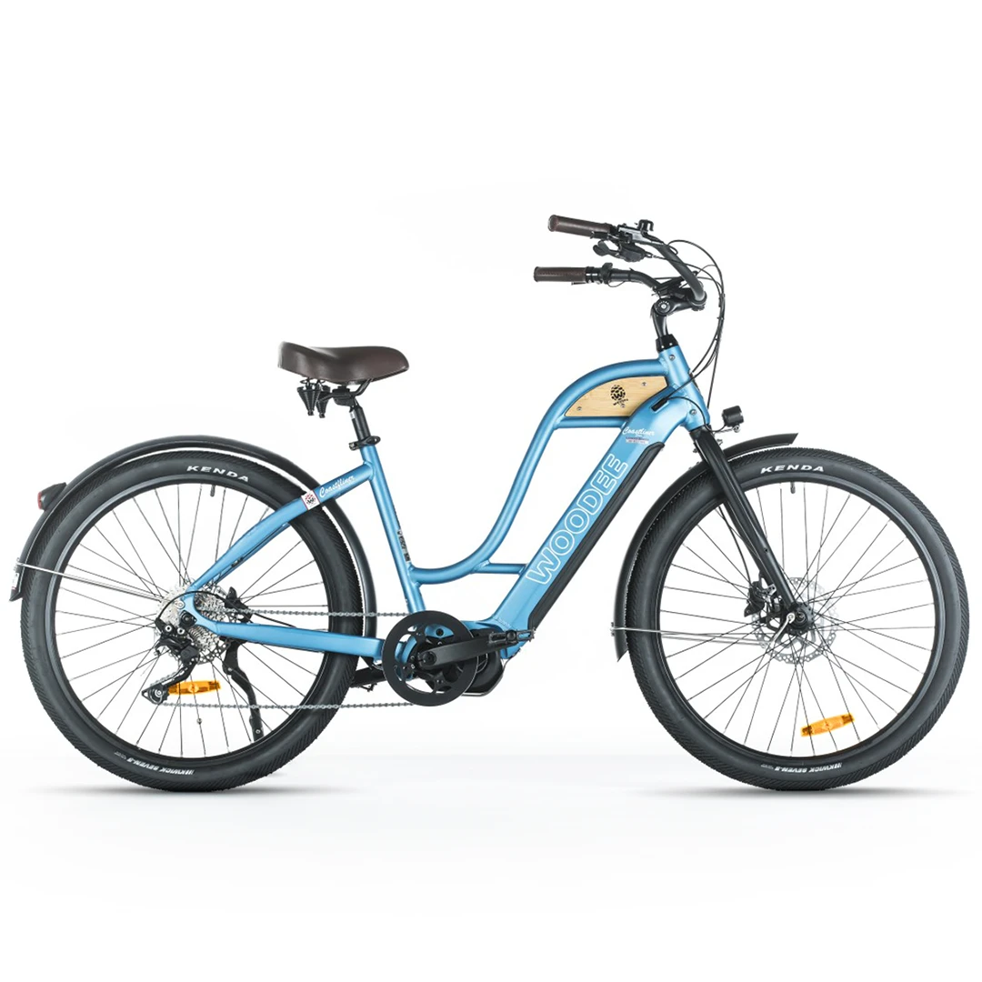 Woodee Coastliner Swan | Beachcruiser E-Bike | Mittelmotor